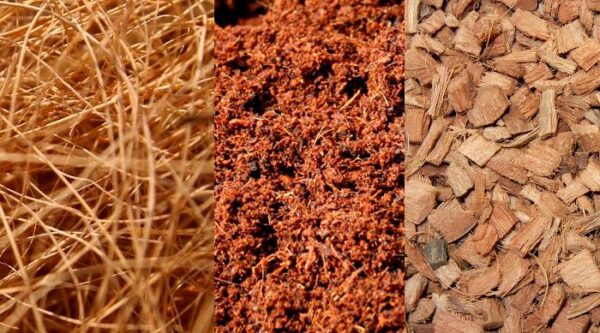 ¿Cómo elegir mi mezcla de sustrato de coco? - Tracomex